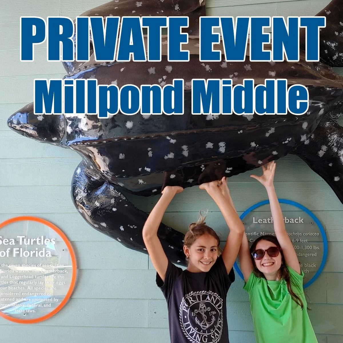 eStore — Saltwater Studies