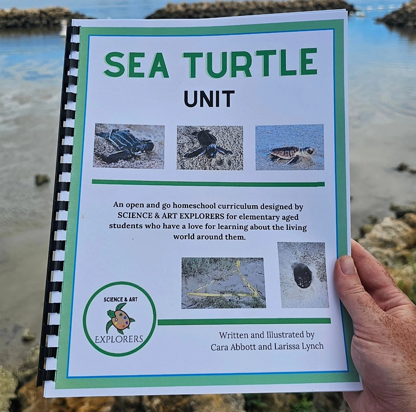 Curriculum — Saltwater Studies
