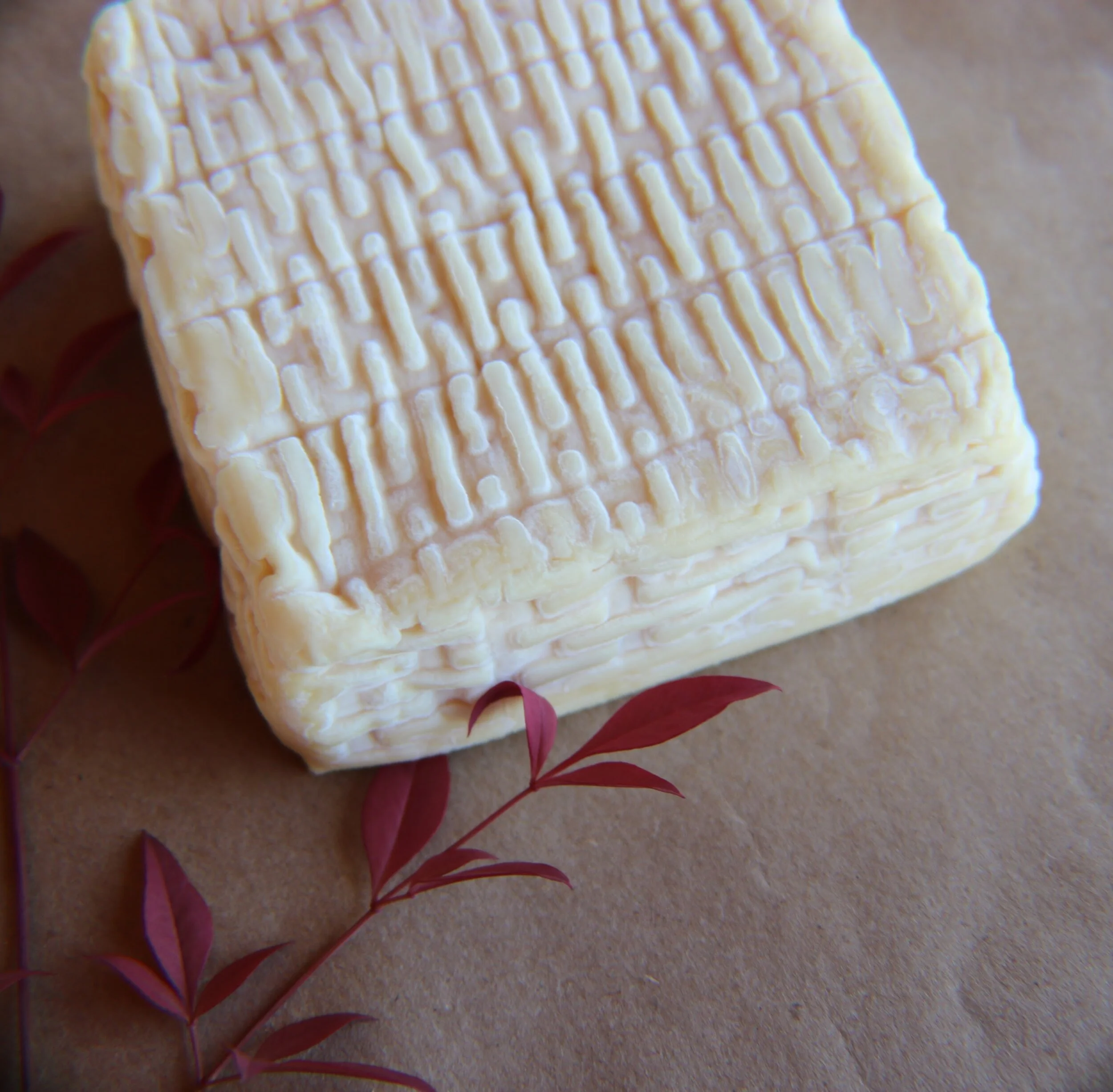 Rosie's Robiola — Boxcarr Handmade Cheese