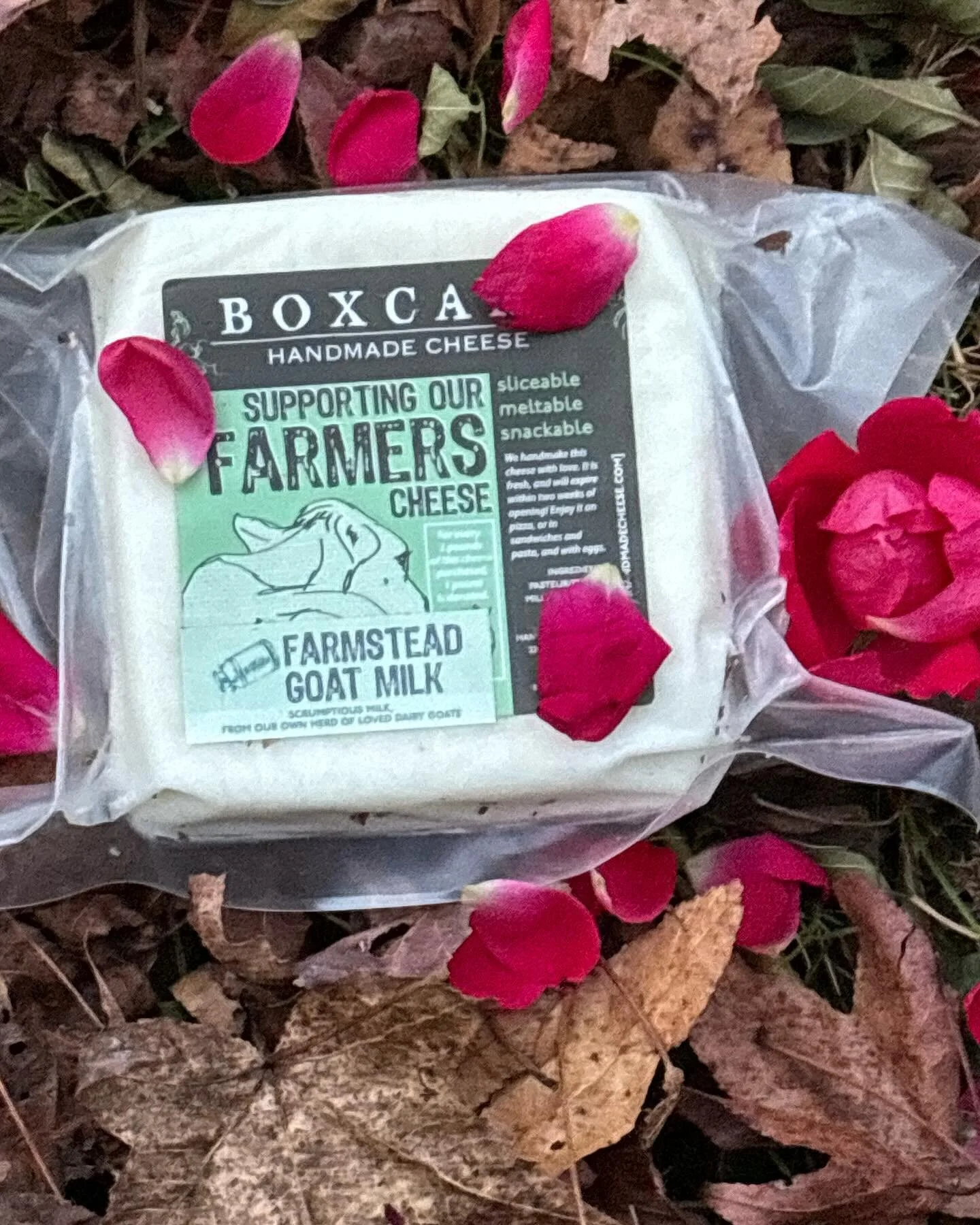 Boxcarr Handmade Cheese