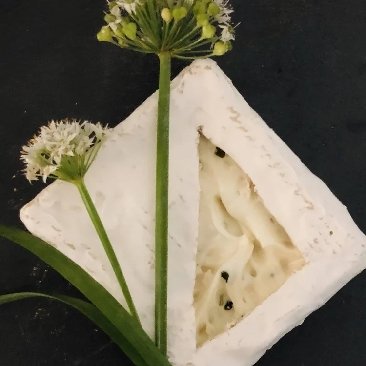 Boxcarr Handmade Cheese