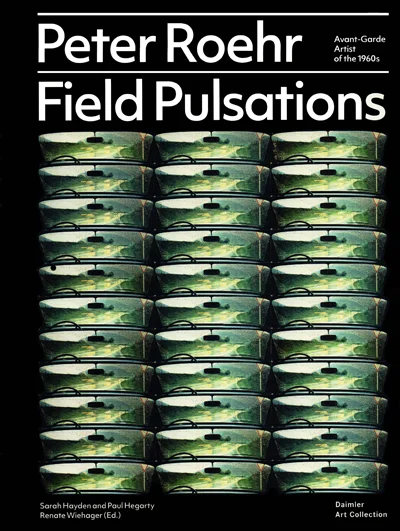 Sarah Hayden — Voices in the Gallery