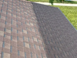 Shingle Preservation Oil — Bright Green Roof - Roof Preservation Technology