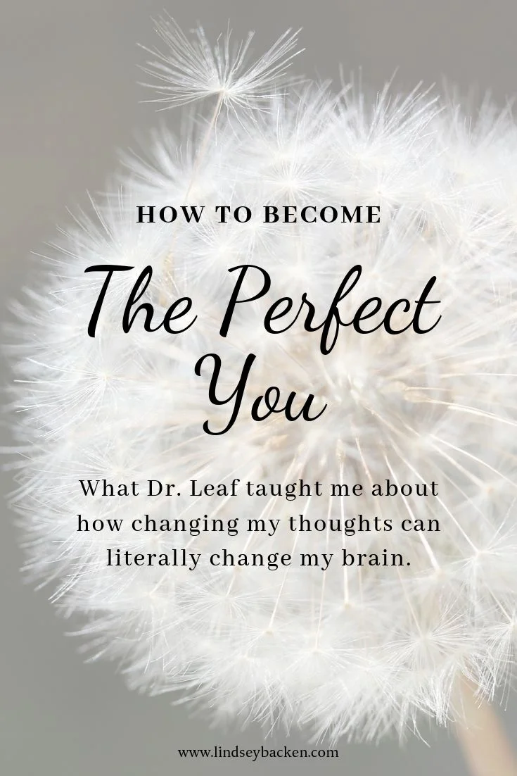 How to Become The Perfect You — Lindsey Renee Backen
