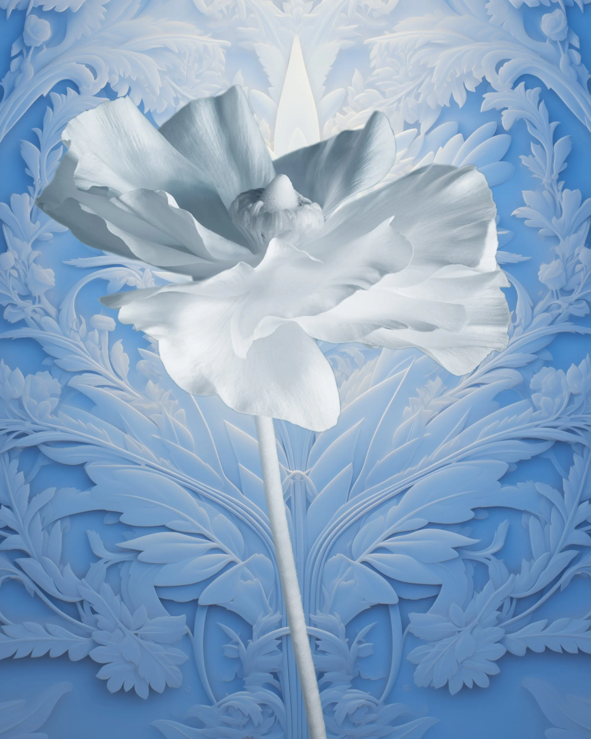 Infrabotanica a new series by Kate Ballis — Kate Ballis | Melbourne ...