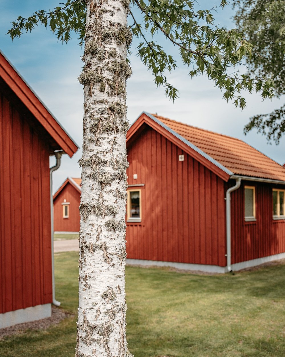 Why are the houses in Sweden red? — rolandsteffen.com