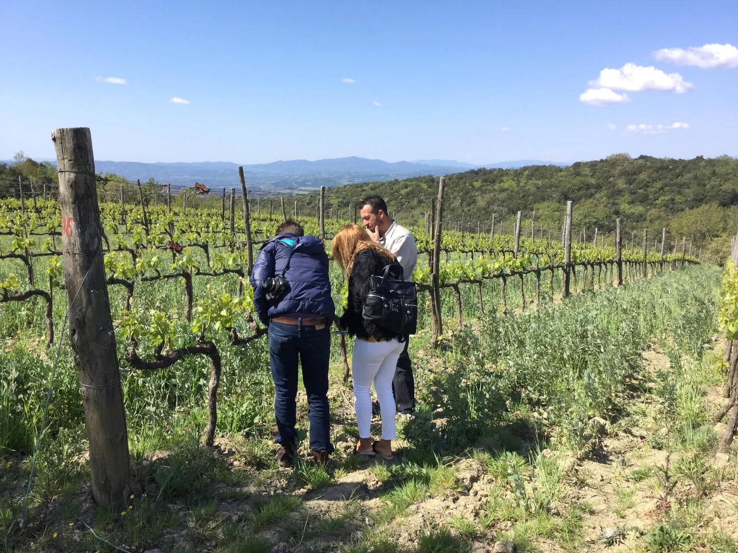 Italy Unfiltered - Private Wine Tours & Itineraries in Tuscany