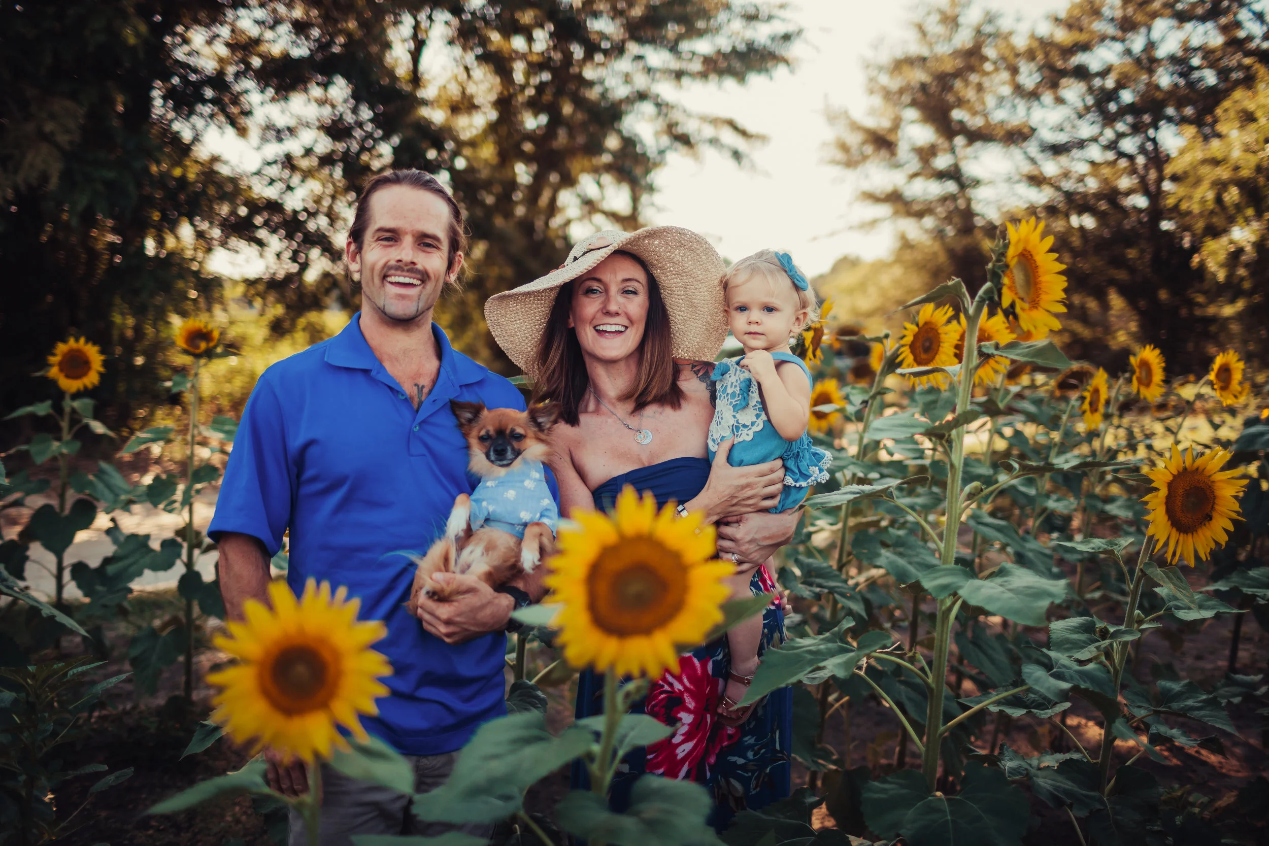 About us — Felz Investment Group