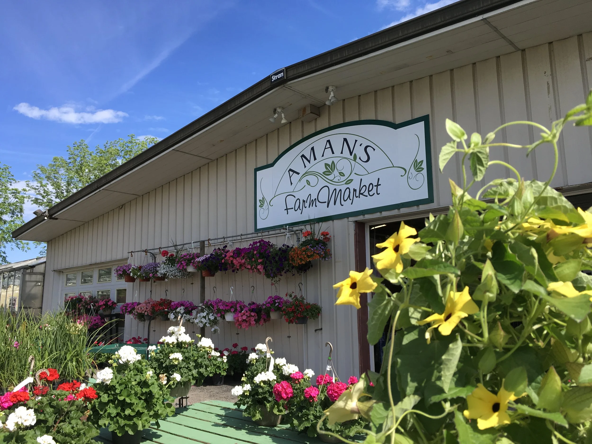GIFTS — Aman's Farm Market