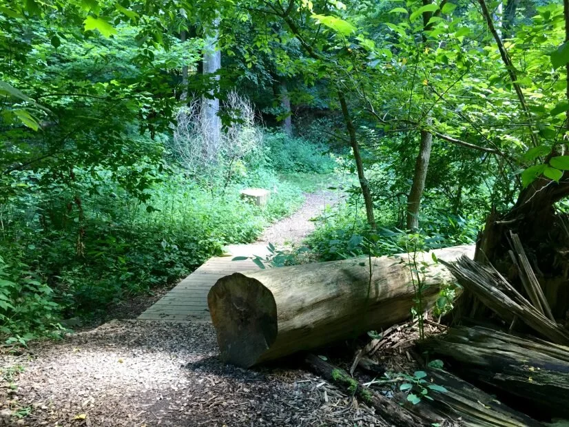 Bird Park — Mount Lebanon Nature Conservancy