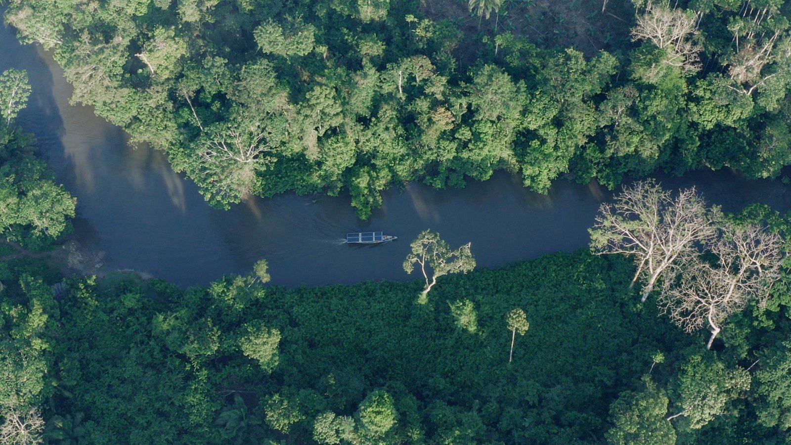 Fundación Kara Solar