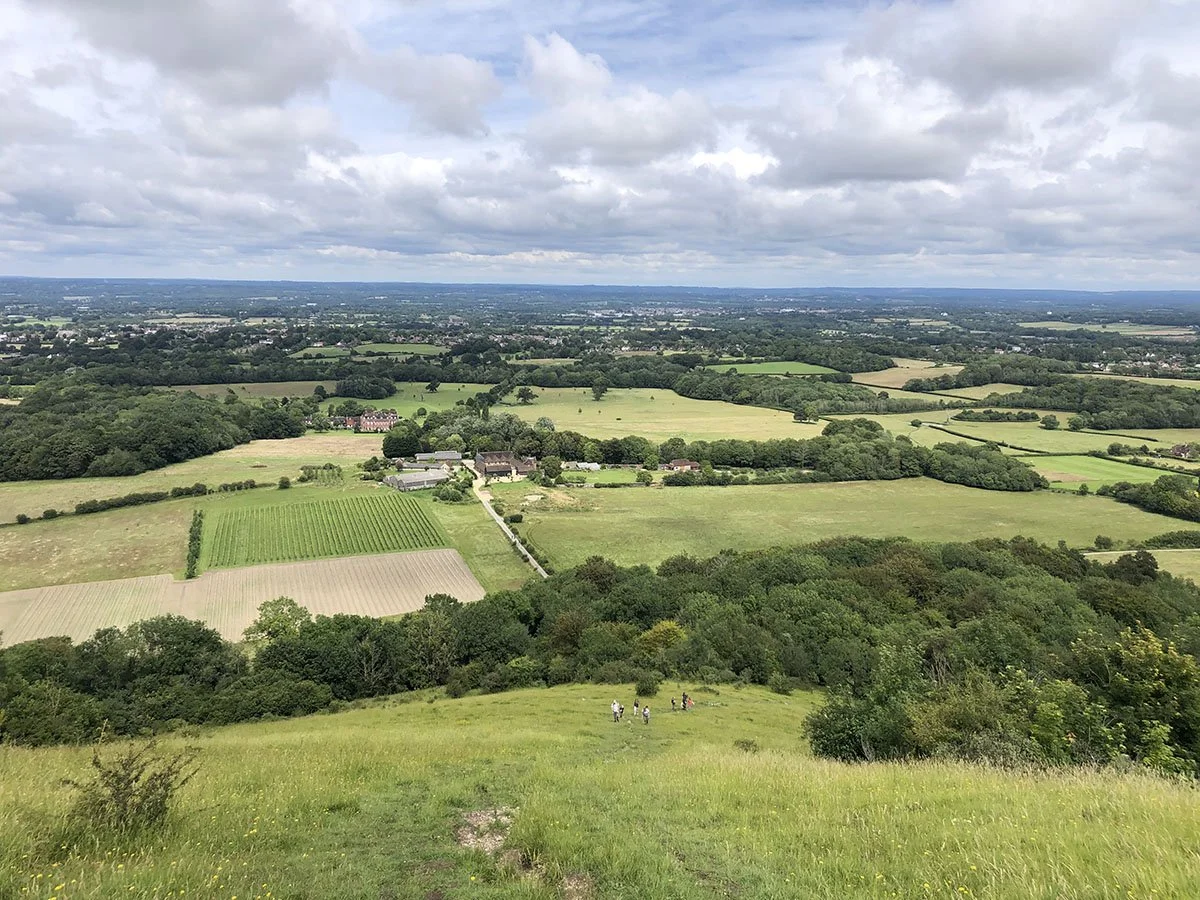 Hassocks Life | a monthly free magazine for Hassocks