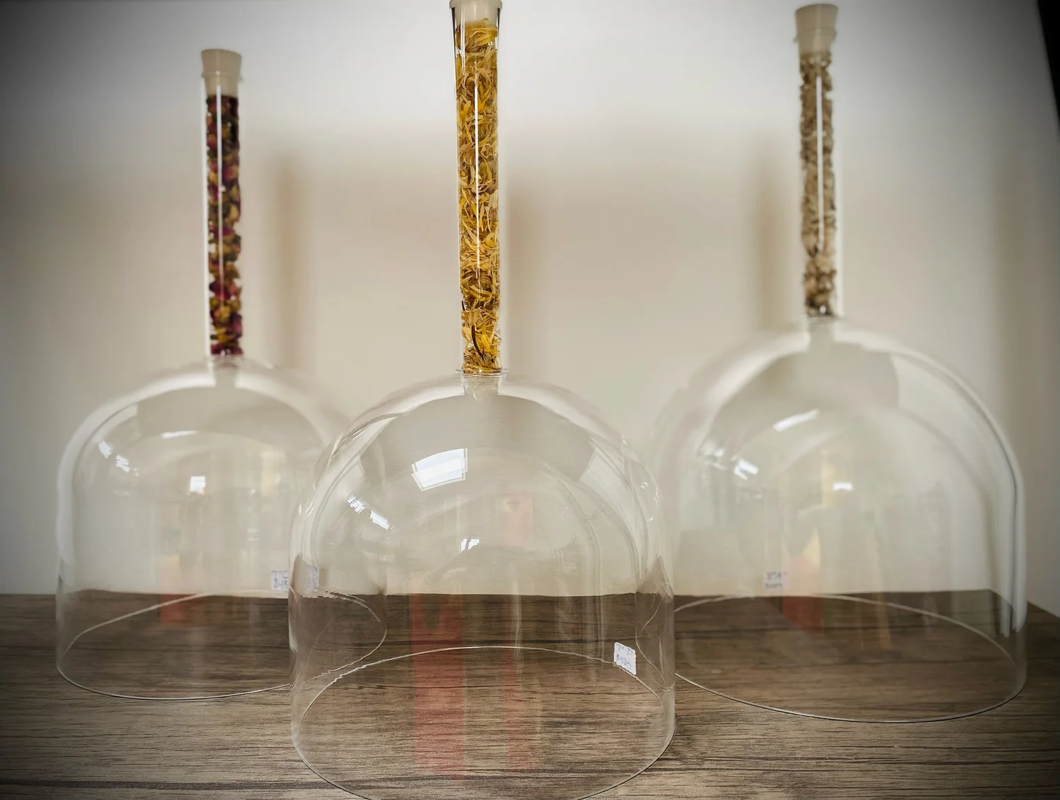 Science of Sound Healing — Sage Academy Of Sound