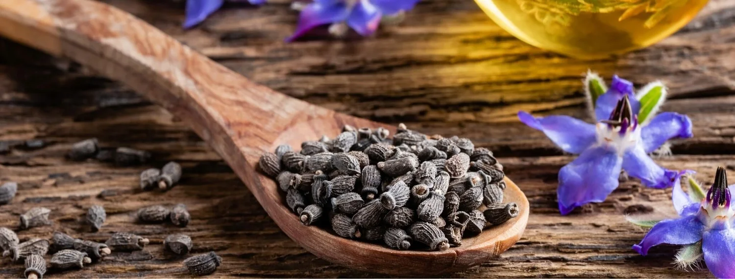 Borage Oil — Botanical Formulations
