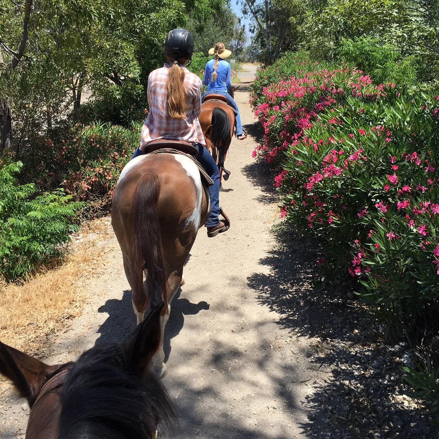 Trail Rides — Palos Verdes Stables