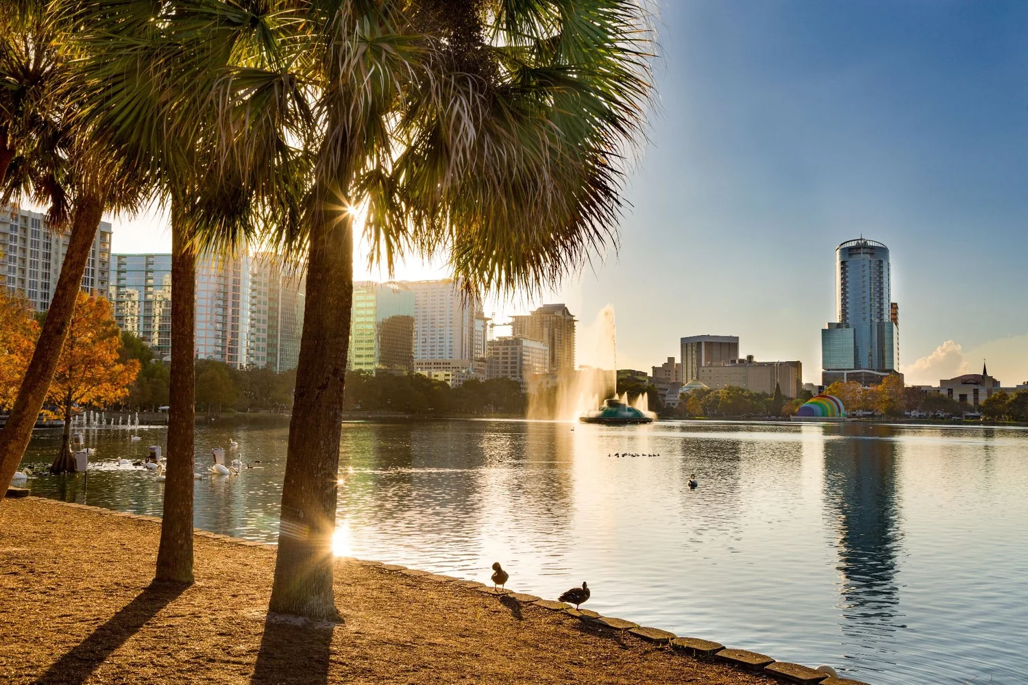 Home | Priority Credit Union | Orlando, Florida
