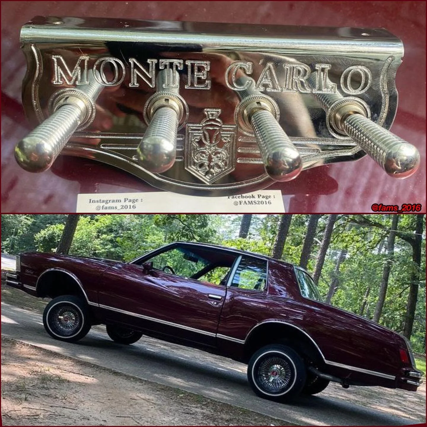 Switch Panel Plates - FAMS For All My Switches 2016