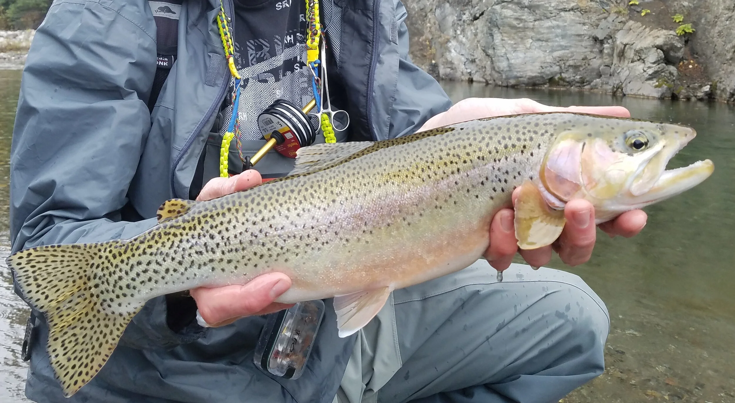 Canmore Fishing Adventures – boat trips on the Bow River from Banff to ...