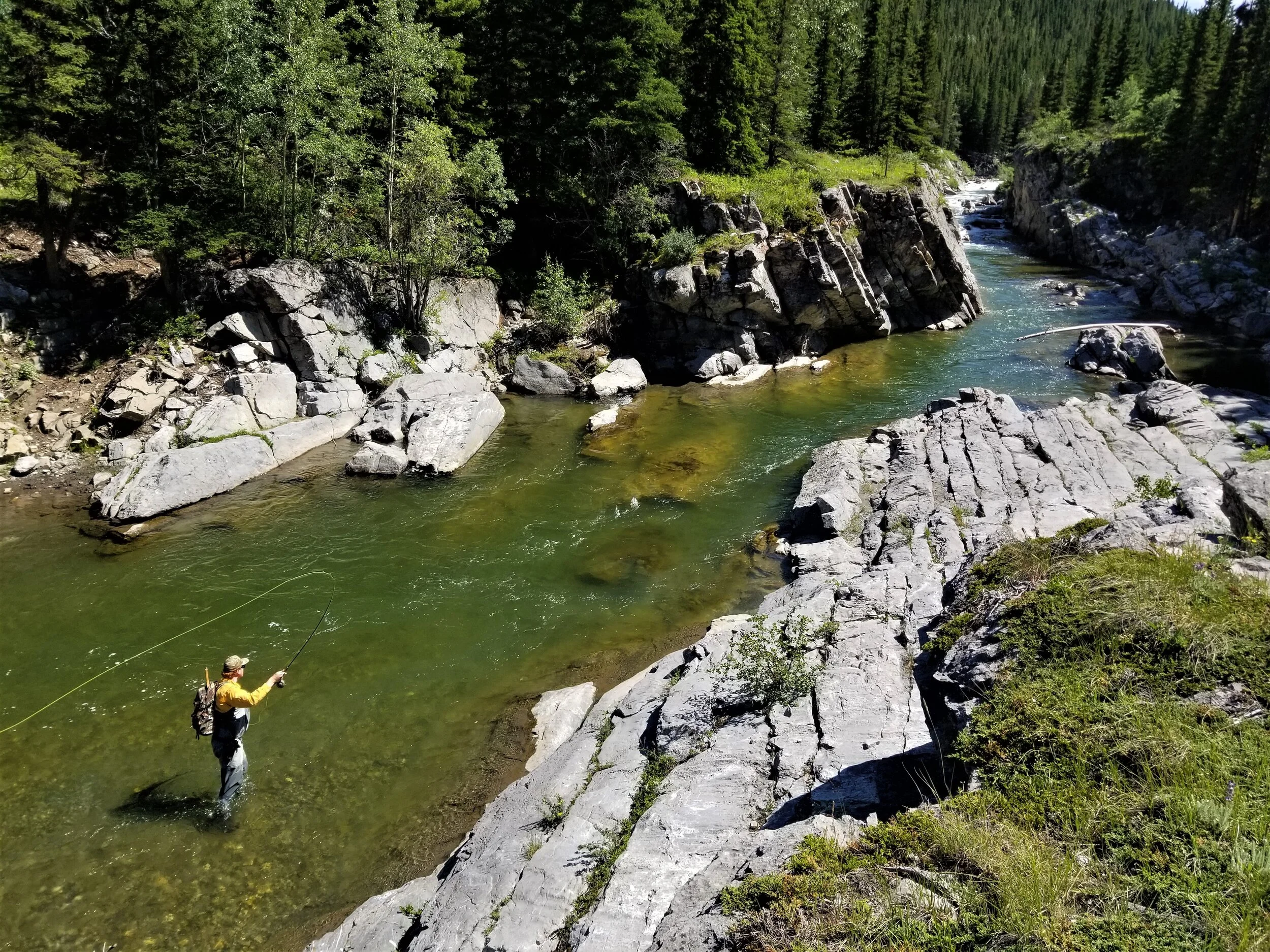 Canmore Fishing Adventures – boat trips on the Bow River from Banff to ...