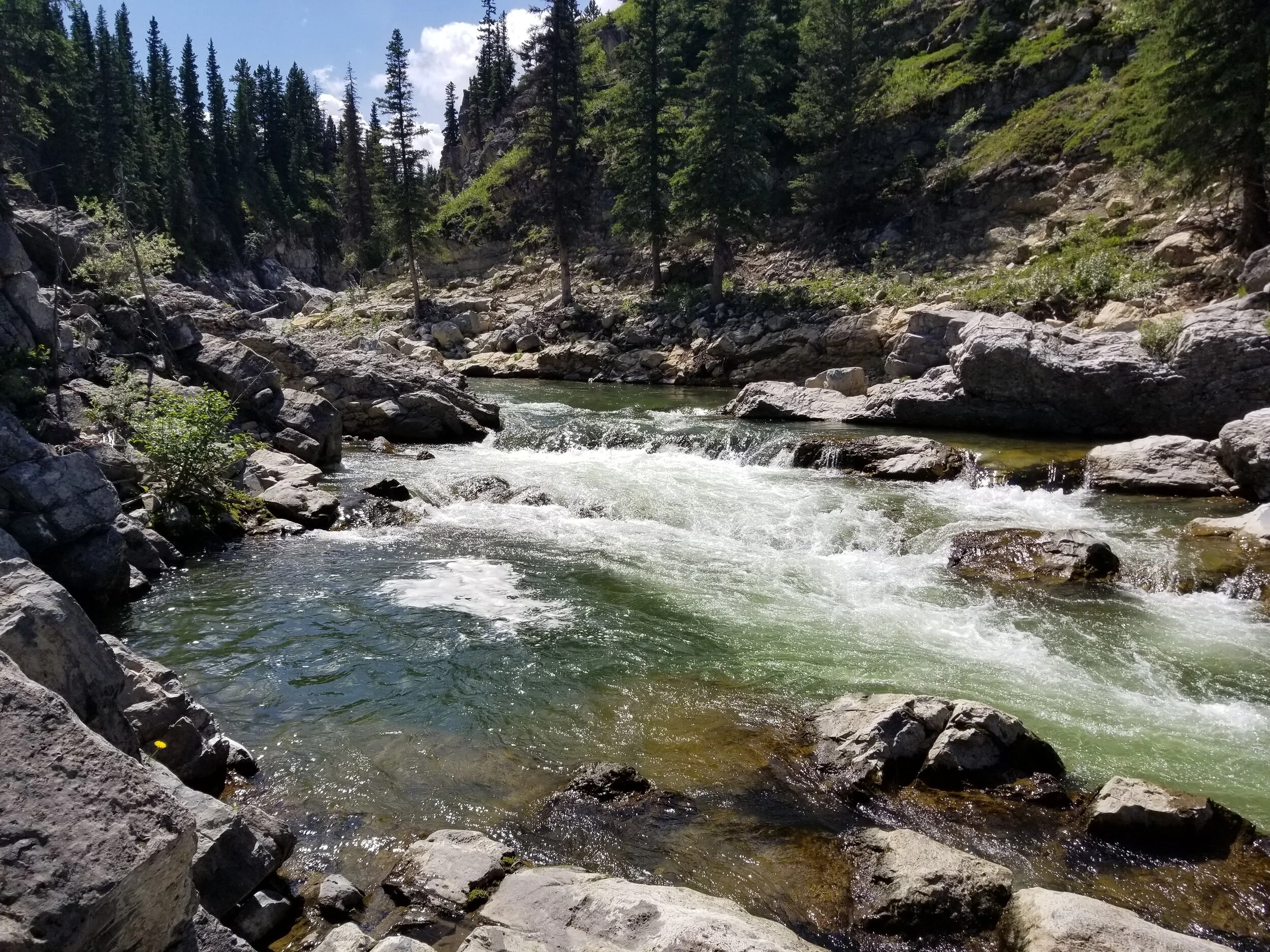 Canmore Fishing Adventures – boat trips on the Bow River from Banff to ...
