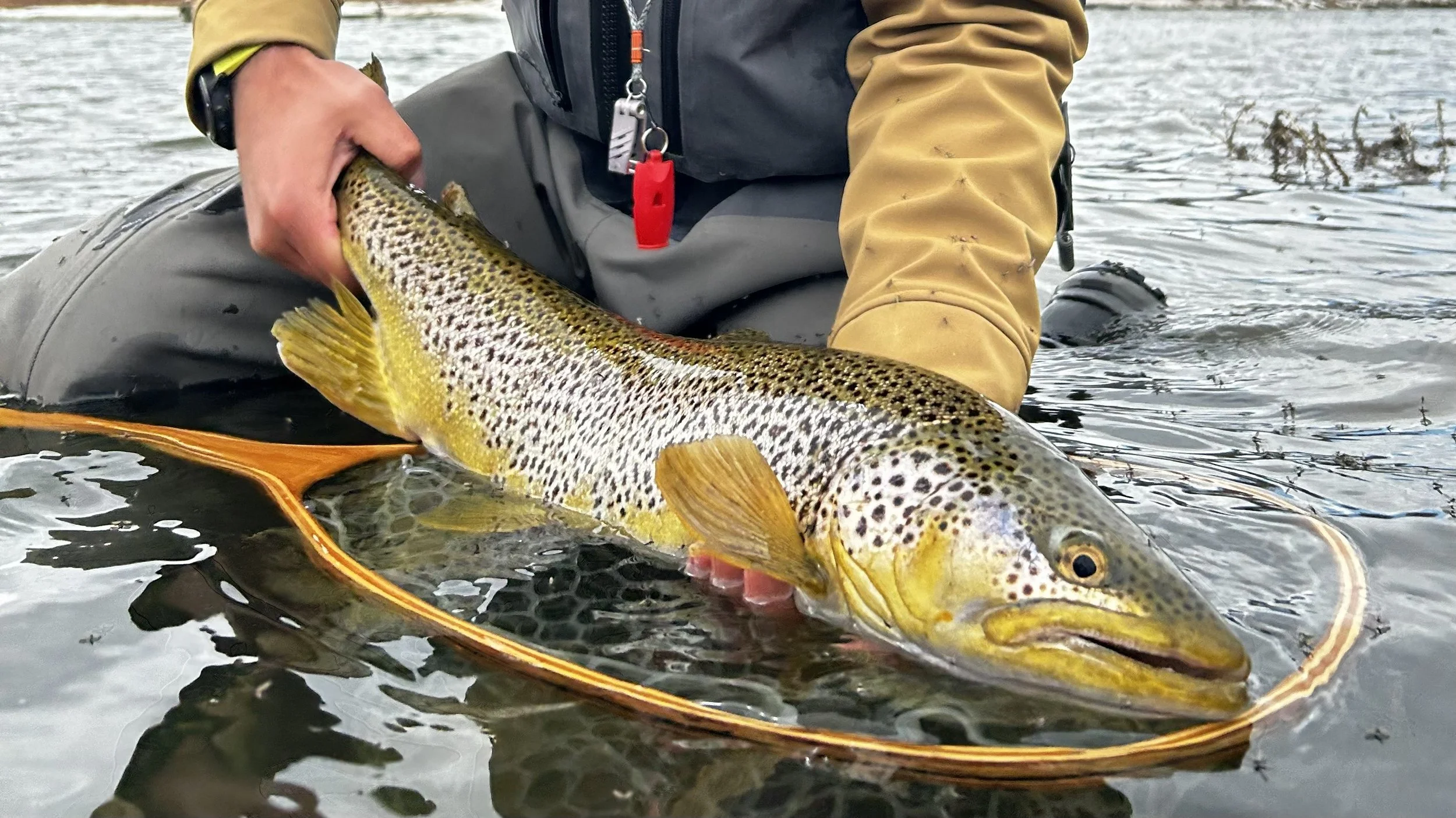 Canmore Fishing Adventures – boat trips on the Bow River from Banff to ...