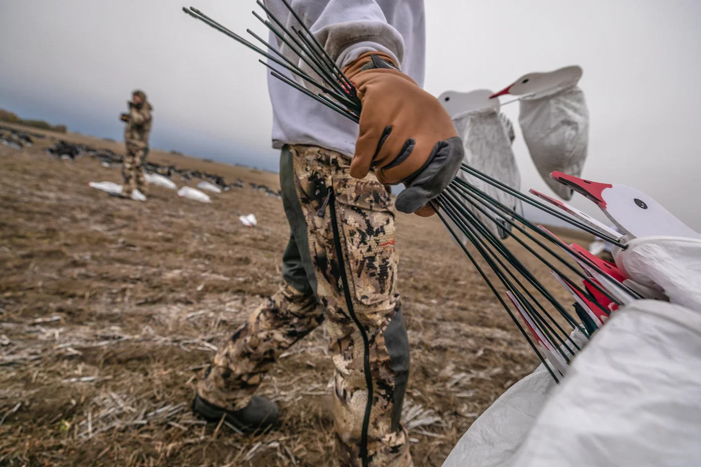 Cody Stokes - Divebomb Creator - Split Reed