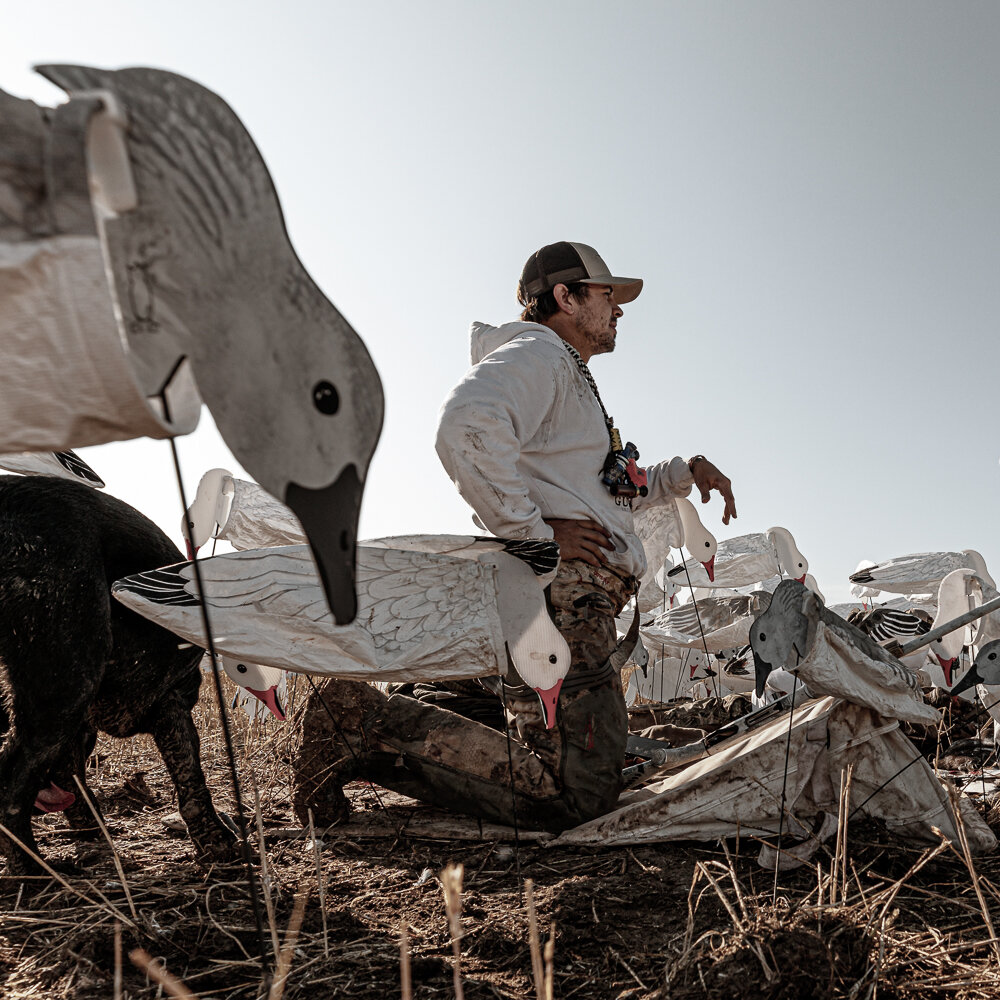 Beginners Guide to Snow Goose Hunting - Split Reed