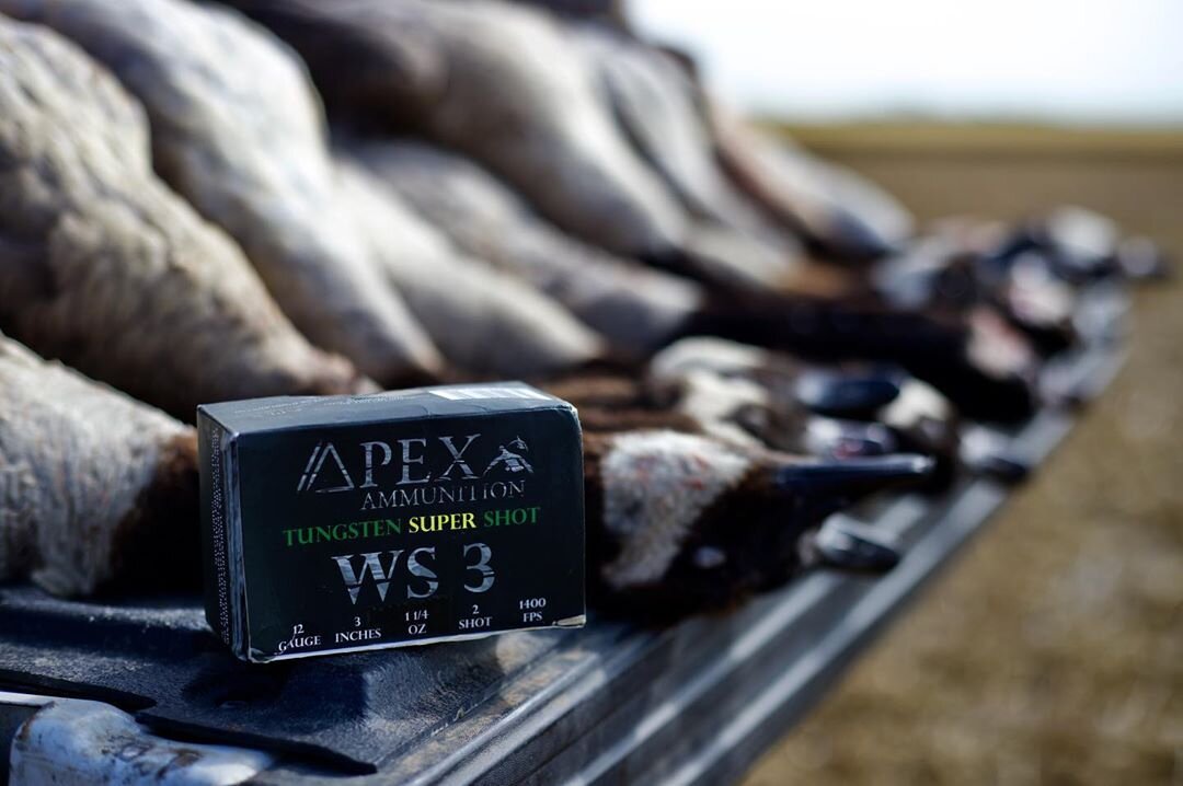 Choosing the Right Shot Size - Split Reed