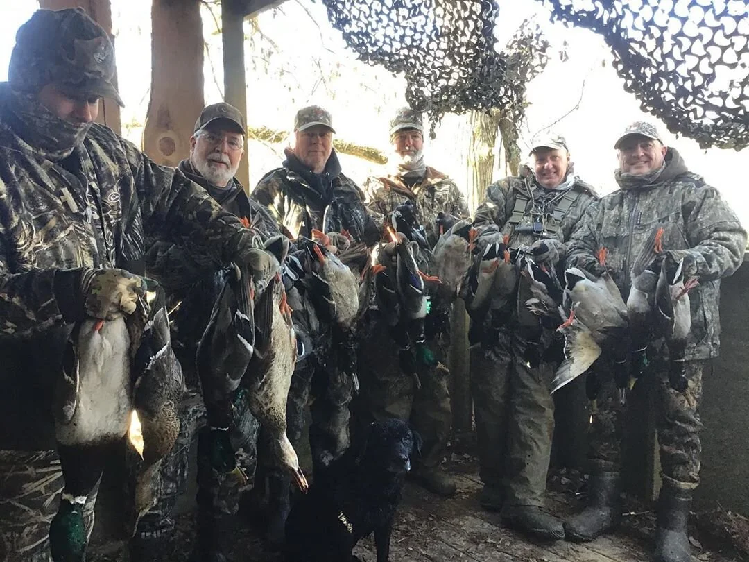 Guide Life: Buster Cooper - Split Reed