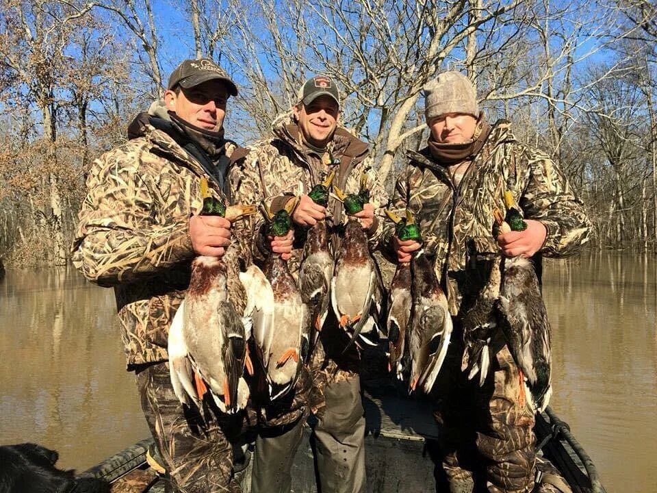 Mallards Landing In Timber