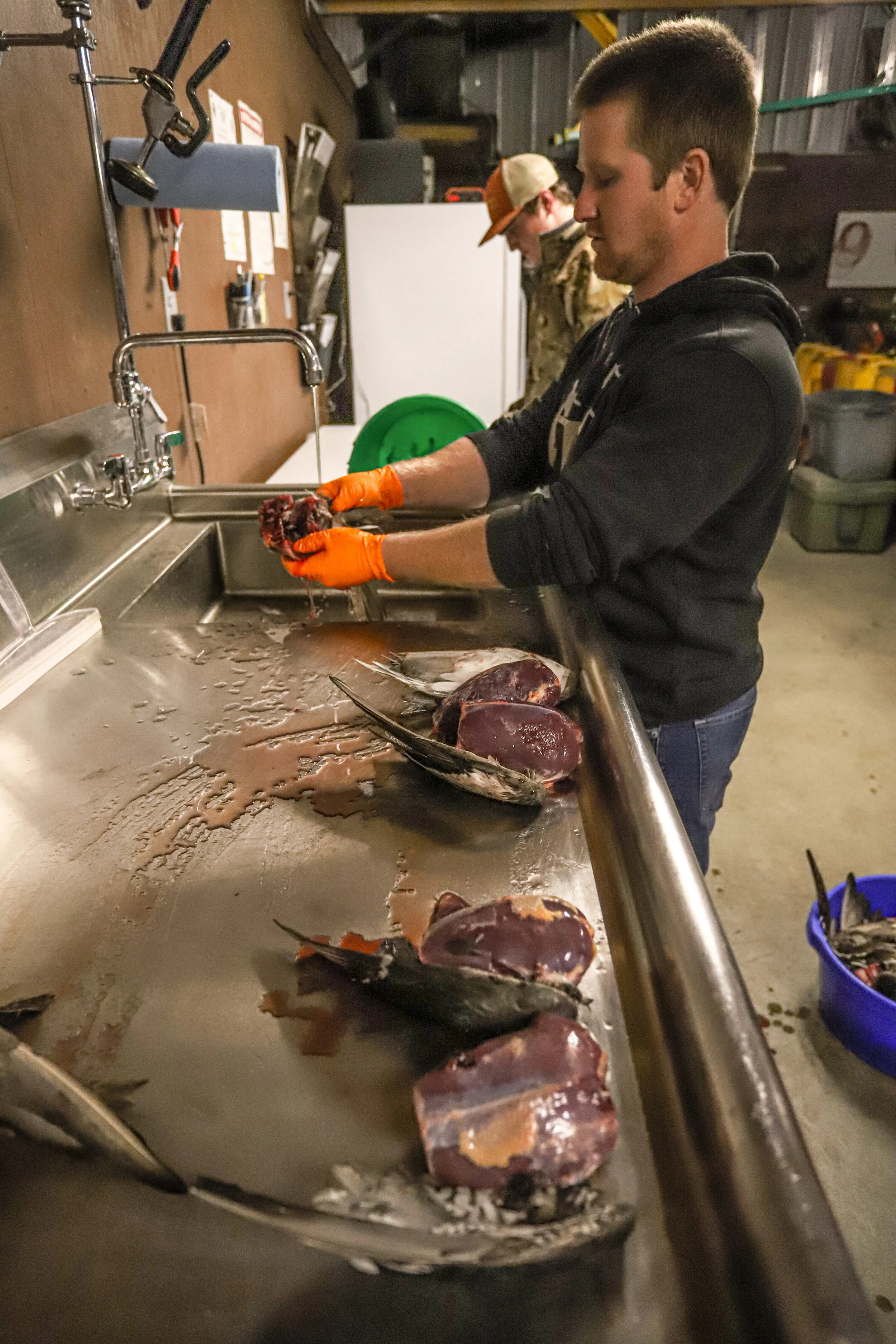 Bird Carcass Disposal - Split Reed