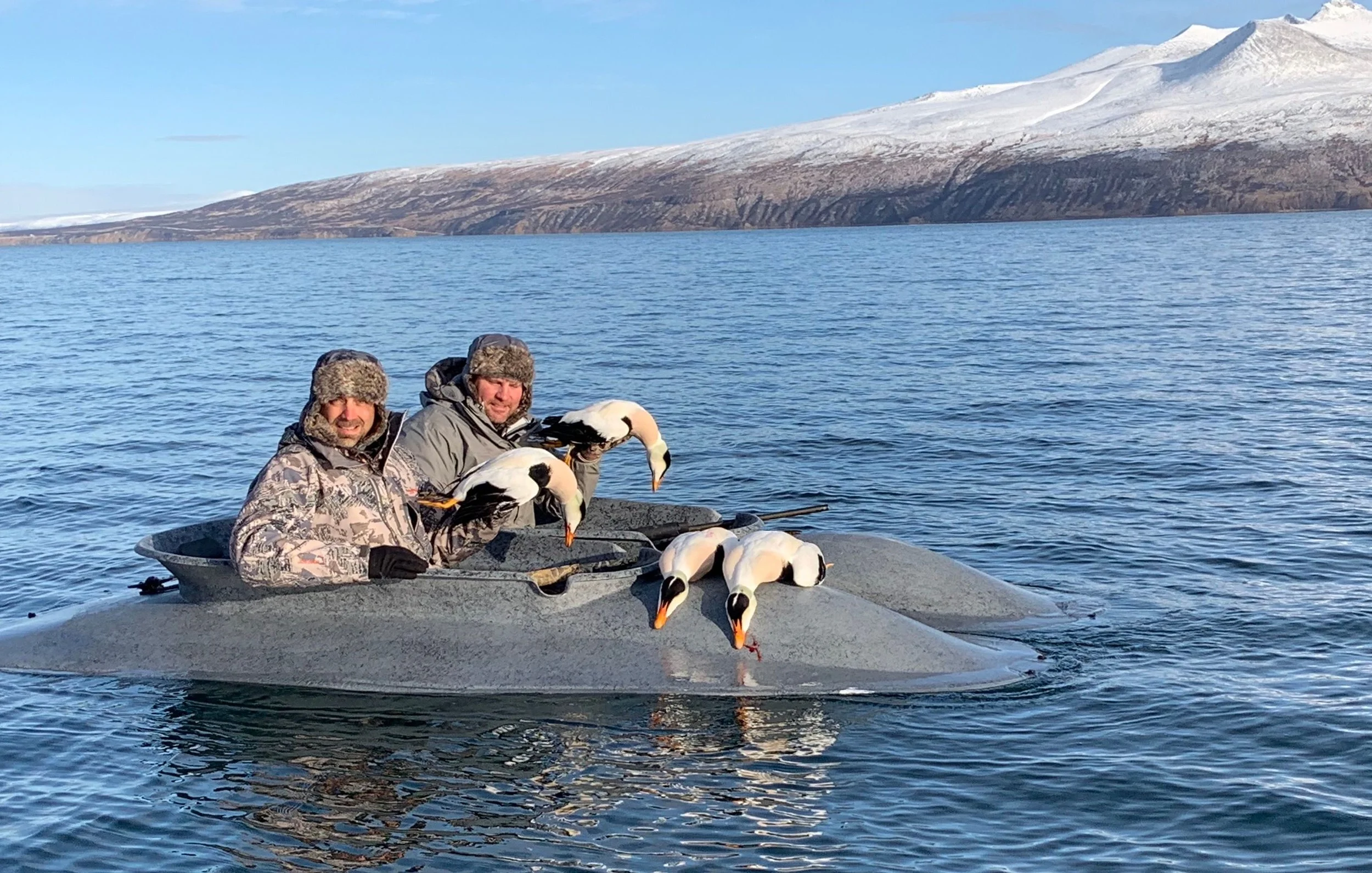 King Eider Hunting