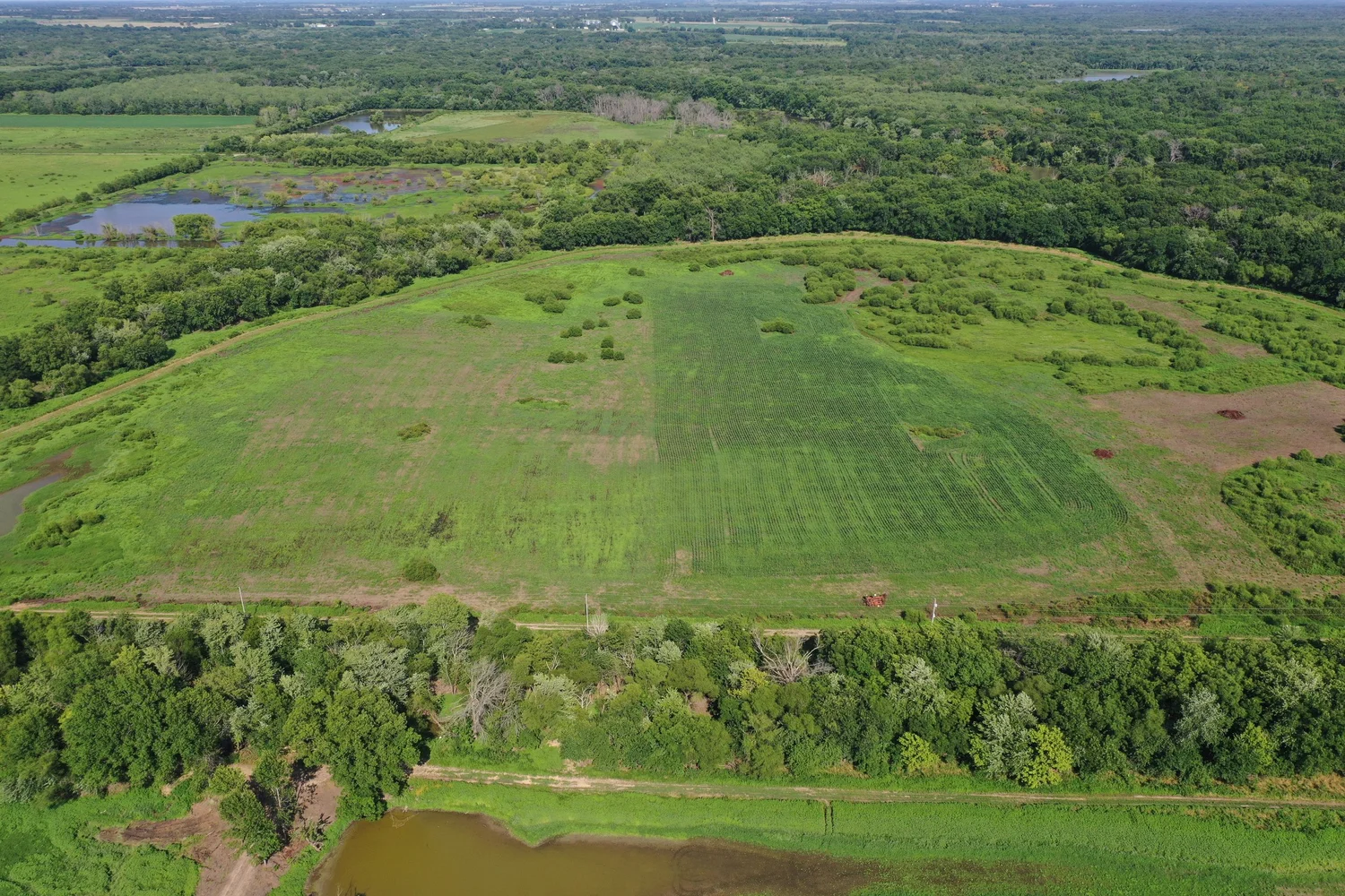 The Initiative of the Osage Basin - Split Reed