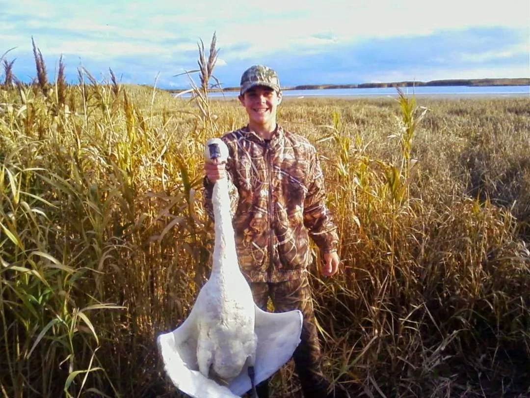 Tundra Swan Hunting