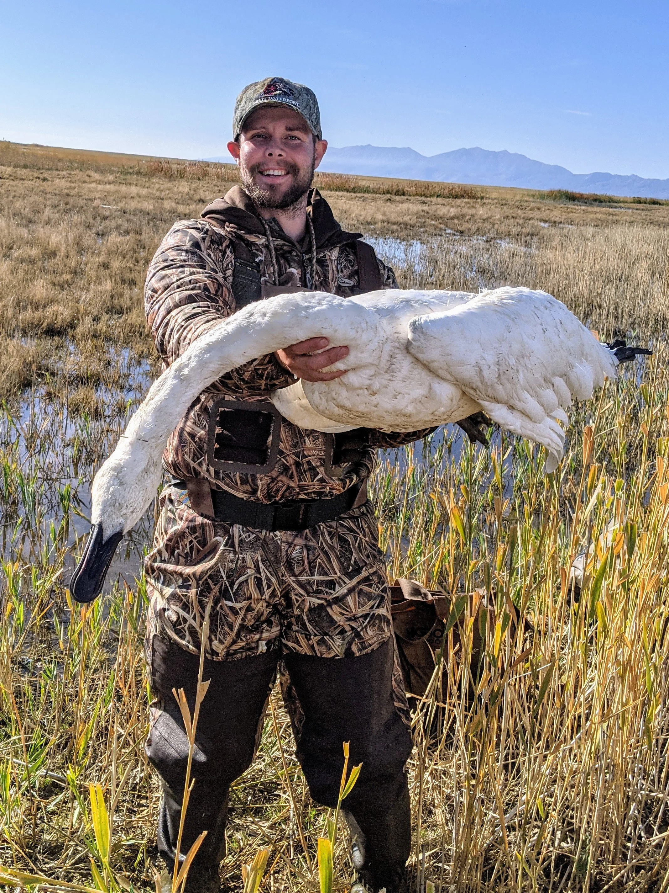 Big White Birds and the Art of Swan Hunting - Split Reed