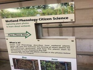 Vegetation Inventory — Boreal Wetland Centre