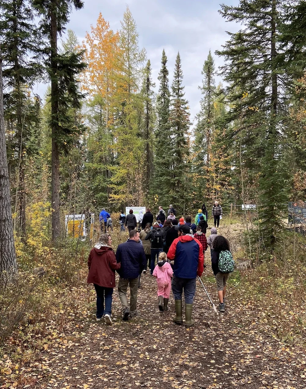 A Wetland Centre for Everyone — Boreal Wetland Centre