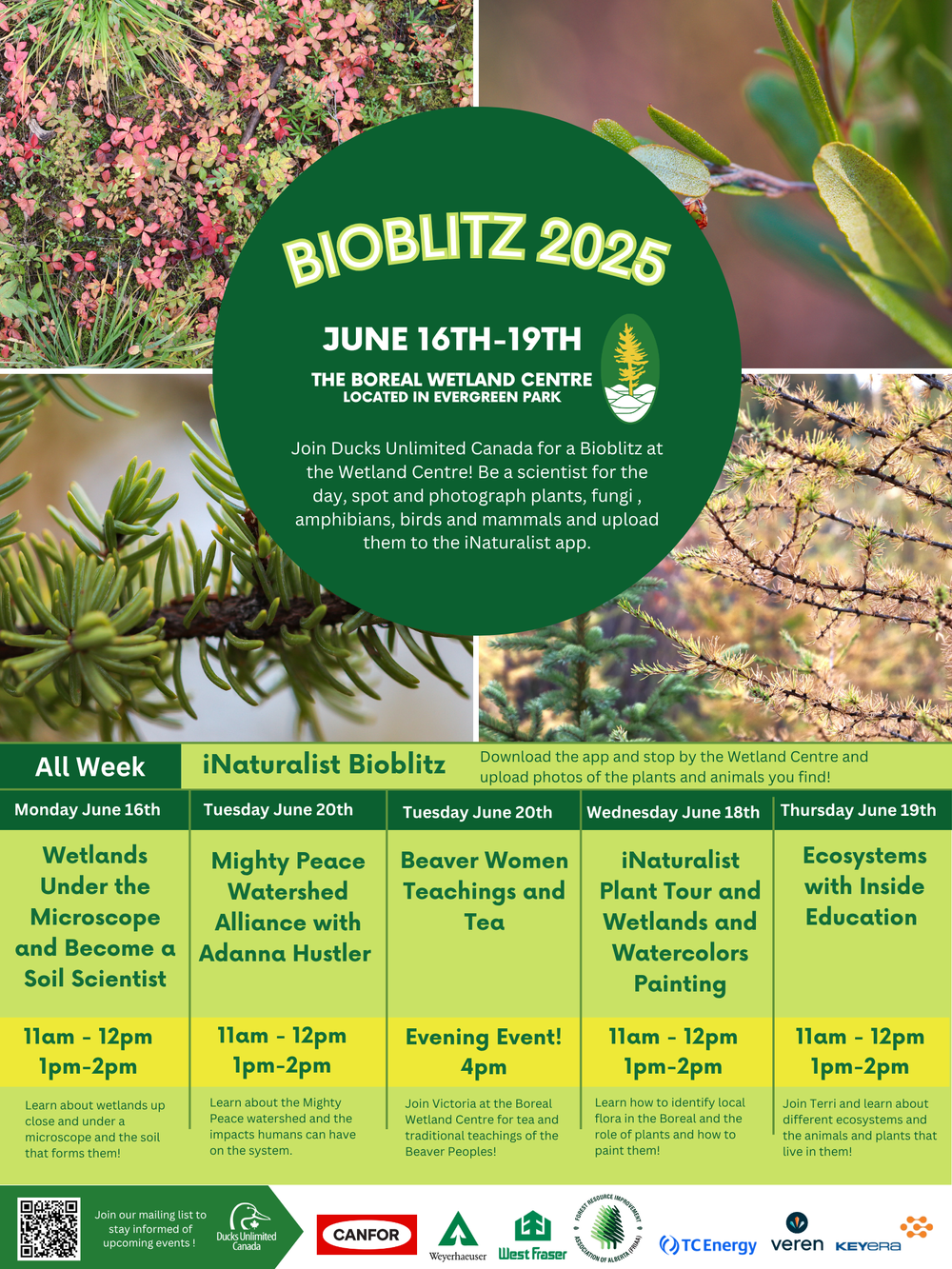 Bioblitz Week — Boreal Wetland Centre