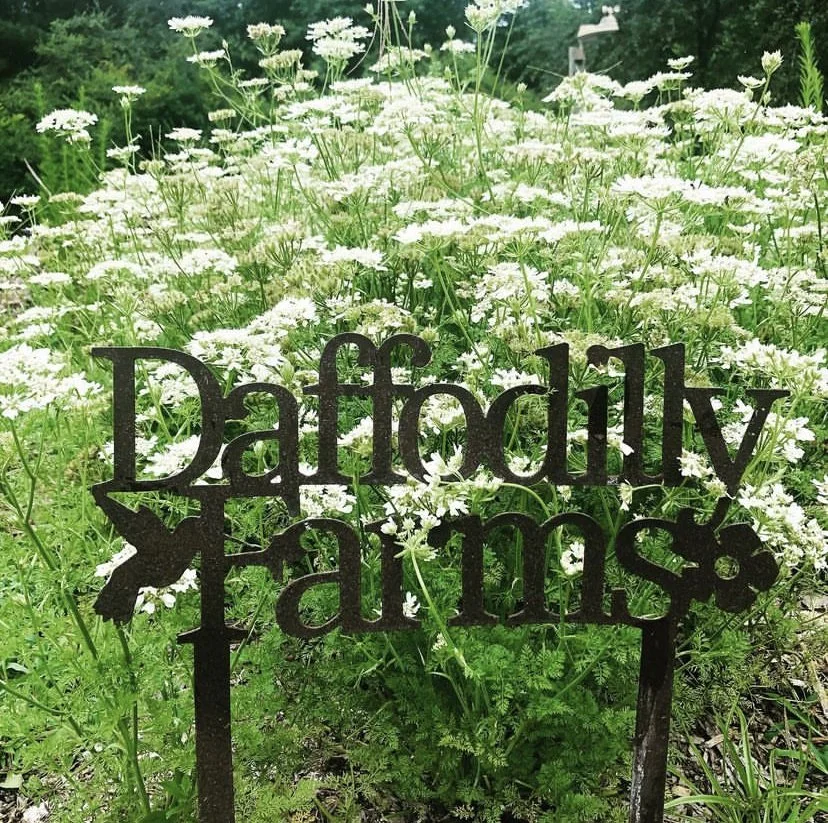 Daffodilly Farms