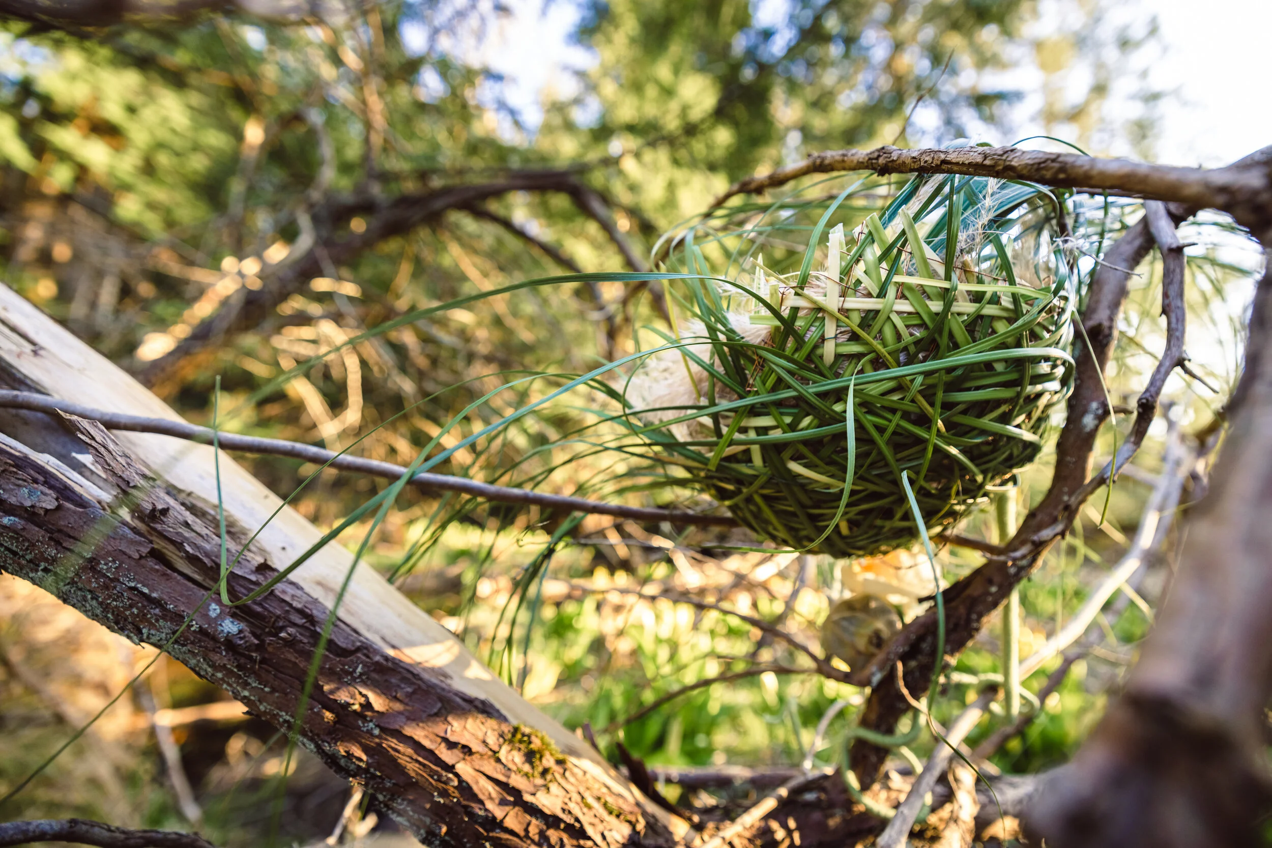 FLOWER NESTS - Creative Edge April 2021 — Hitomi Gilliam AIFD