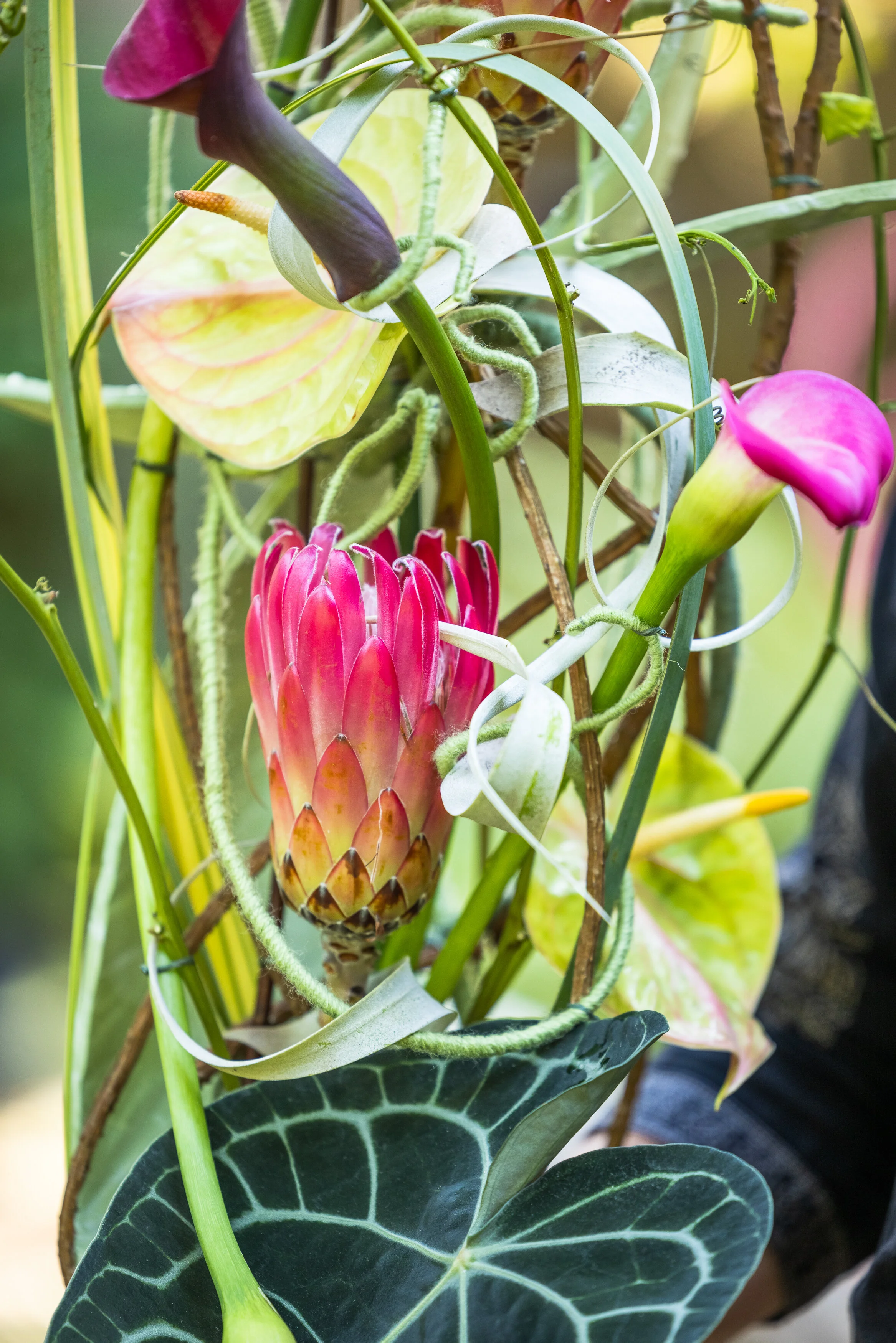 LINEAR HAND-TIED BOUQUETS - Creative Edge June 2021 — Hitomi Gilliam AIFD