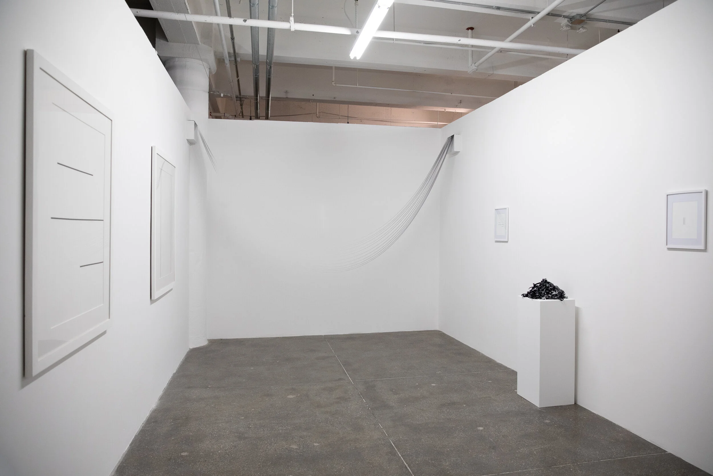 Erin Kim | Member — Ninth Street Collective