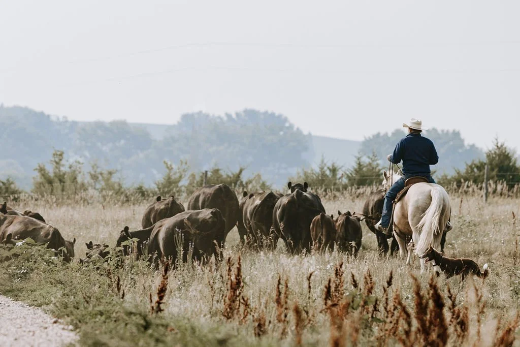 OUR FAMILY — Kovarik Cattle Co.