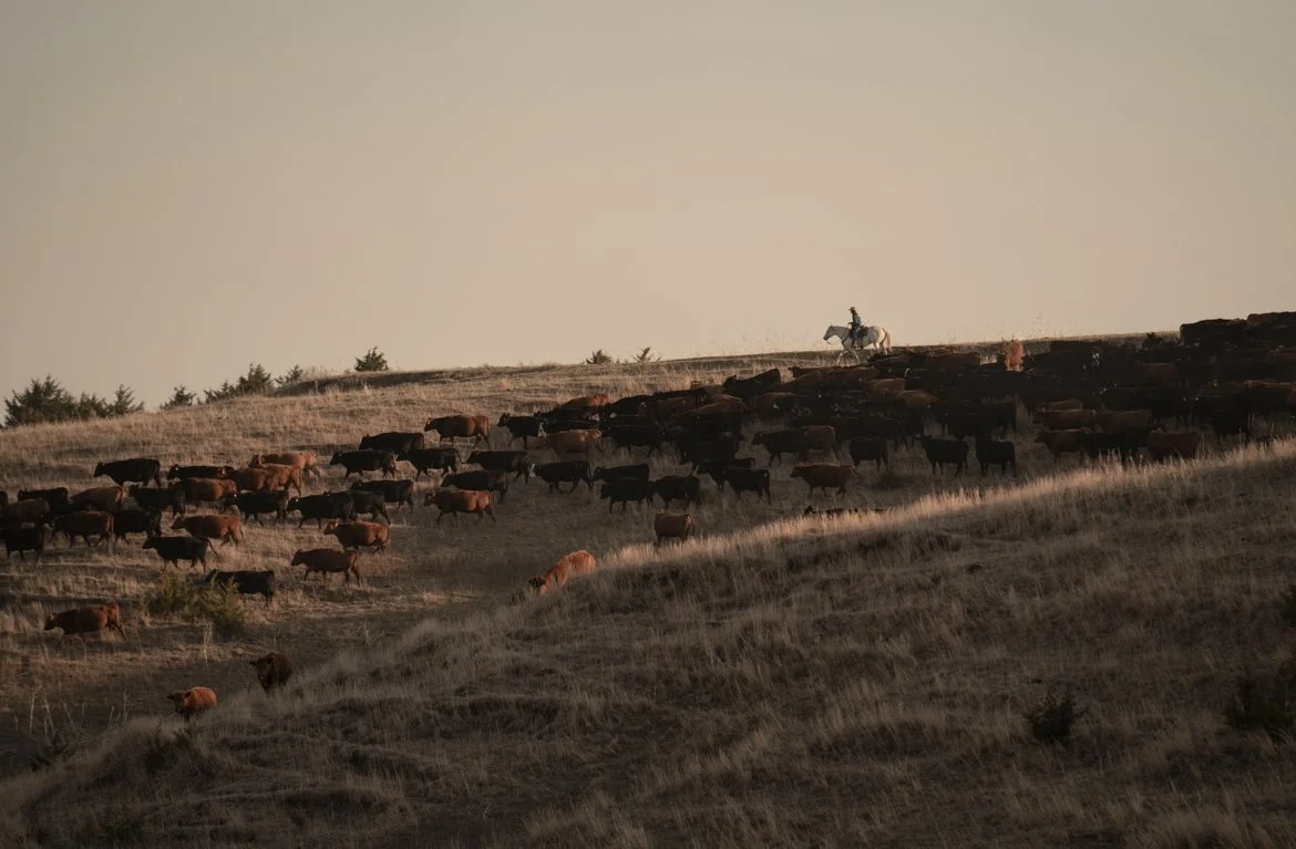 OUR FAMILY — Kovarik Cattle Co.