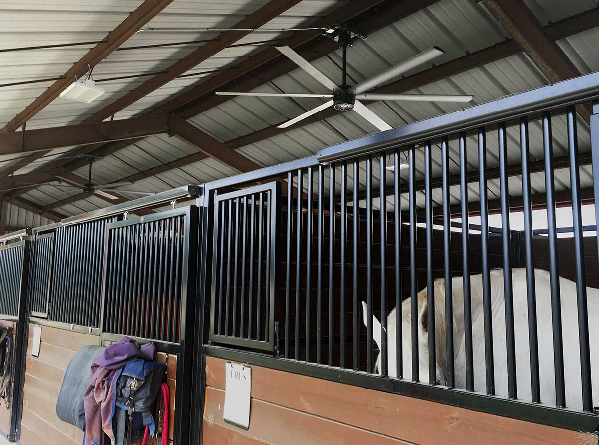 Horse Stall Fans Tractor Supply at Marcelo Mulkey blog