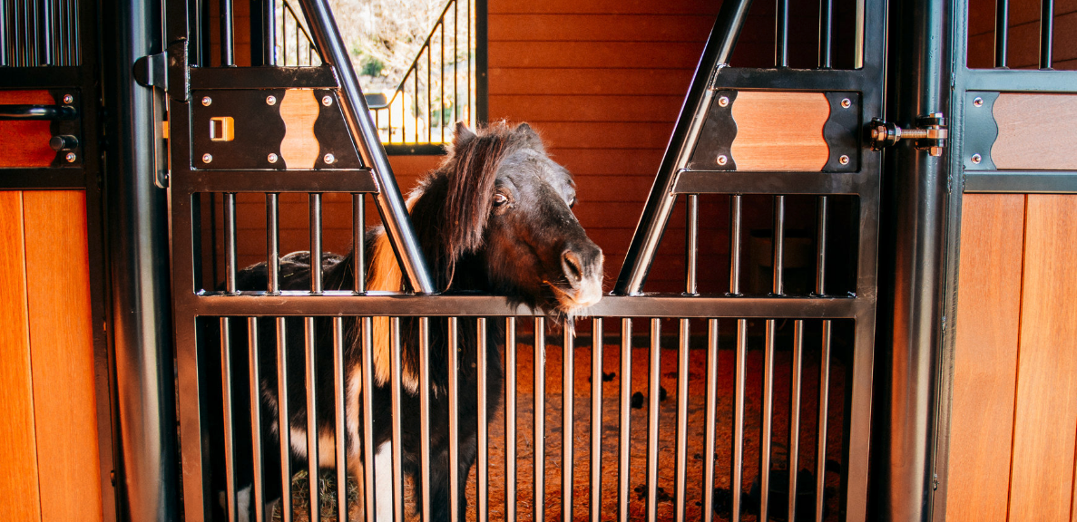 How Horse Stall Kits Boost Safety and Comfort — Innovative Equine Systems
