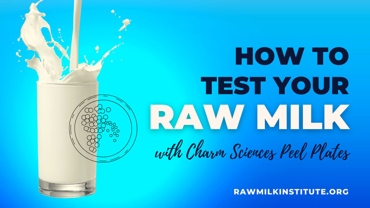 VIDEO: On-Farm Raw Milk Testing with Charm Sciences Peel Plates — Raw ...