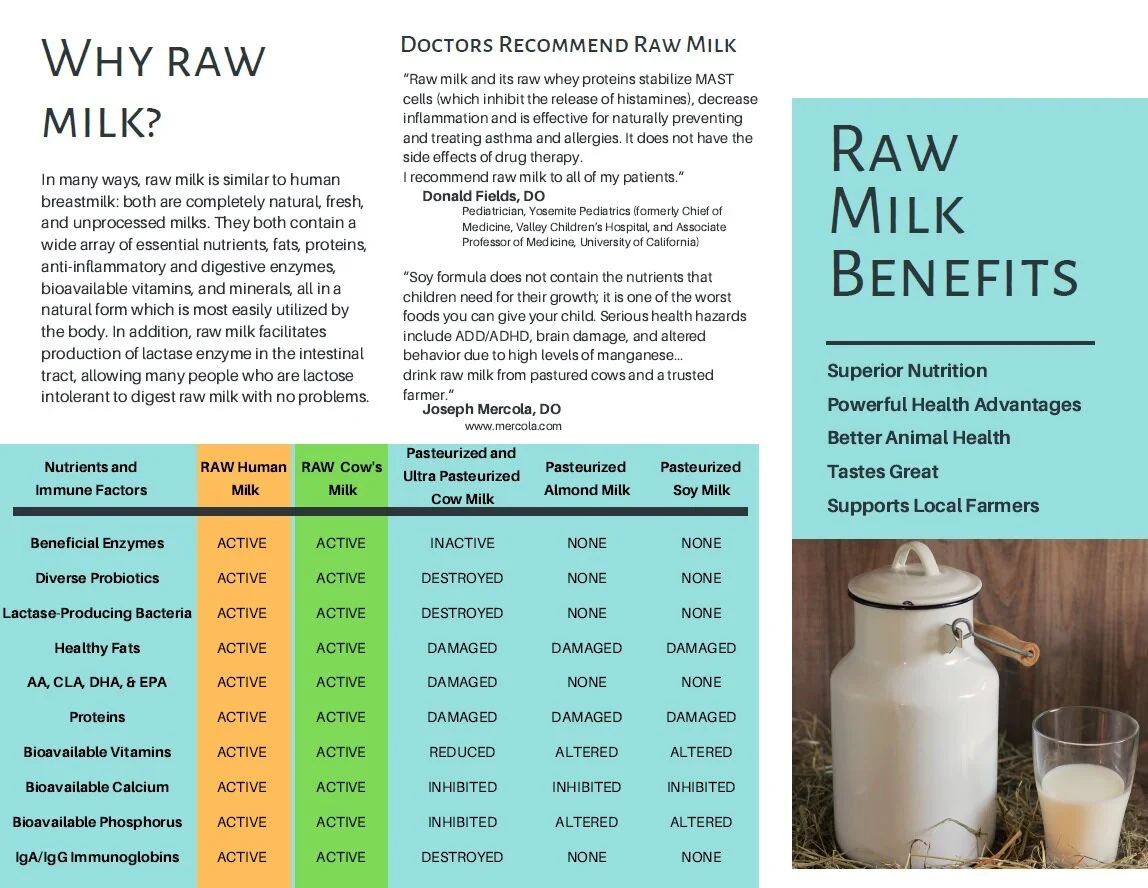 RAWMI Ripple January 2020 Raw Milk Institute RAWMI Ripple January 2020 Raw Milk Institute
