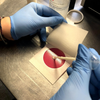 On-Farm Lab Testing for Raw Milk Farmers — Raw Milk Institute