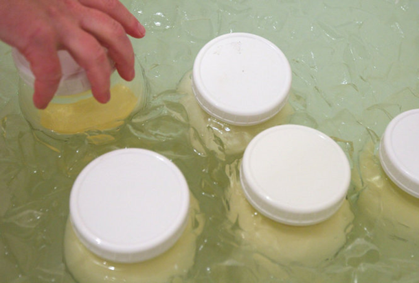 Rapid Chilling of Raw Milk Lowers Pathogen Risks and Improves Shelf ...